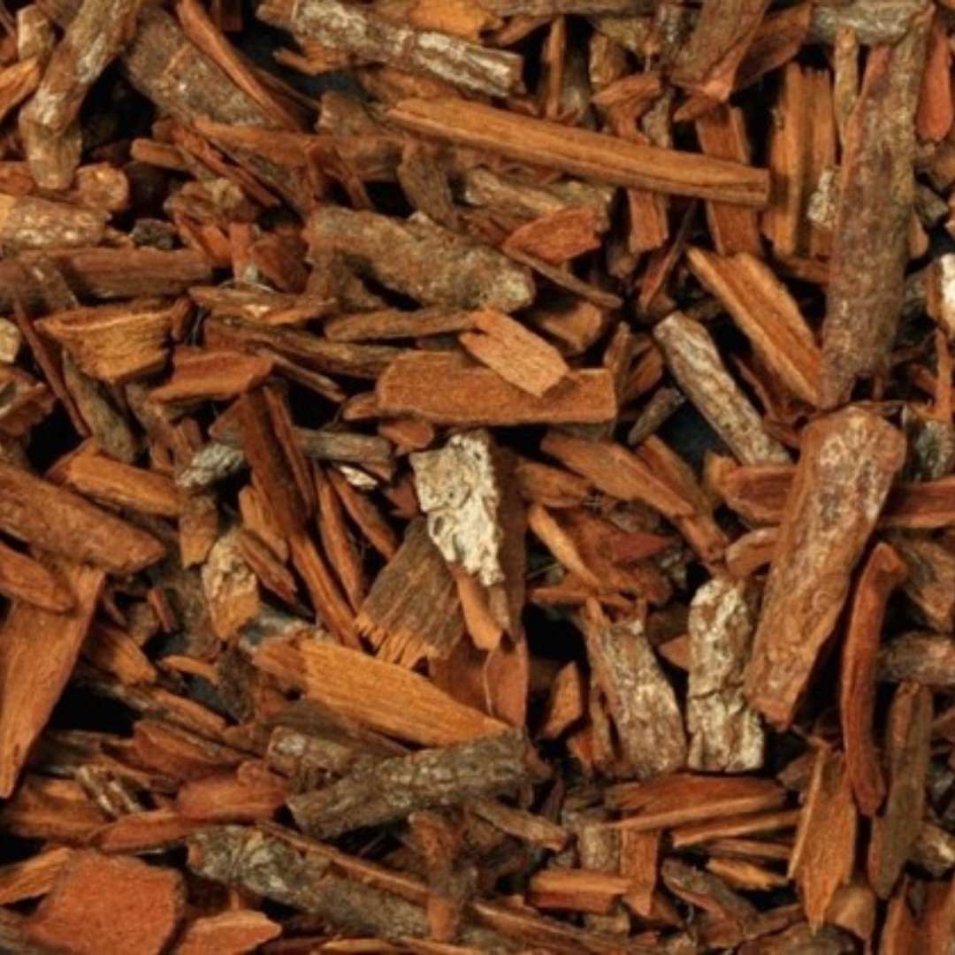 El poder de la quina, un árbol de importancia histórica y medicinal ...